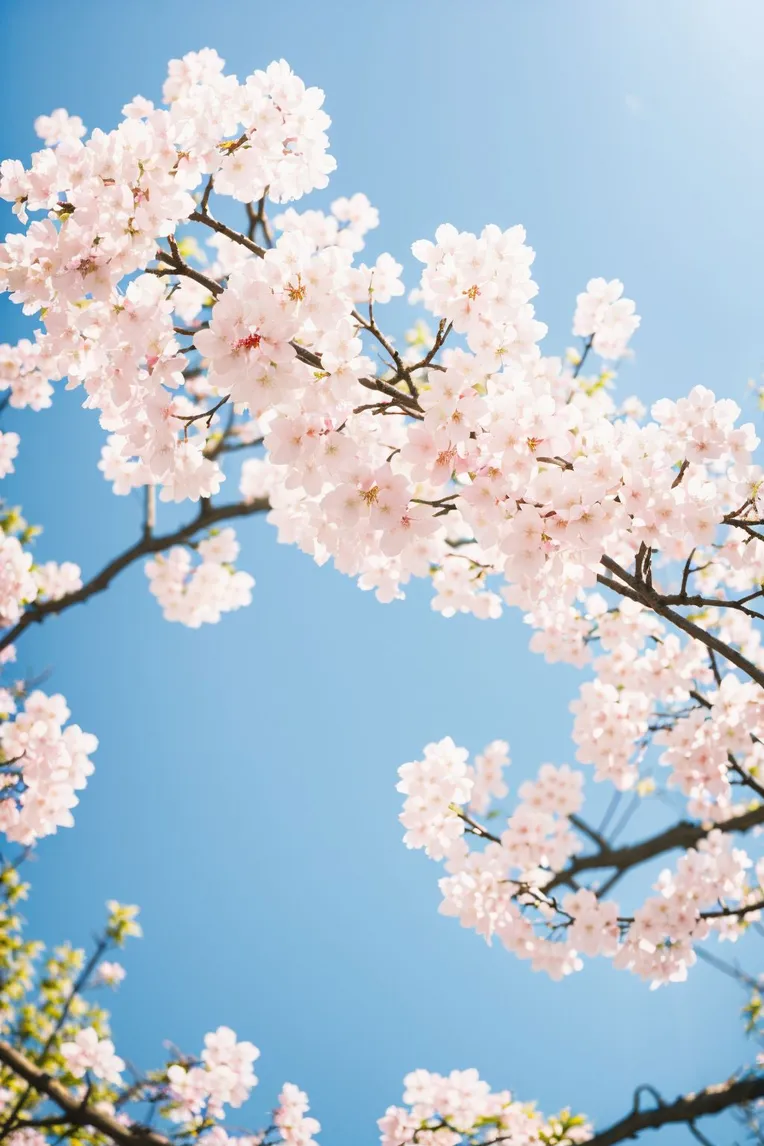 樱花sakura-LoRA-极热分享-LiblibAI