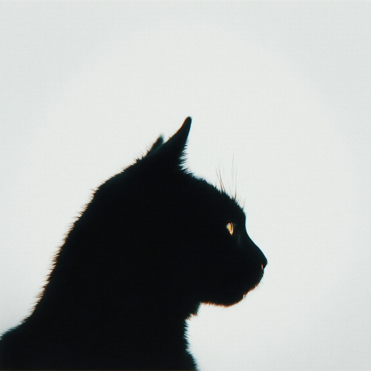 Wan21_I2V_14B_lightx2v_rank64-LoRA-嘟嘟AI绘画趣味学-LiblibAI